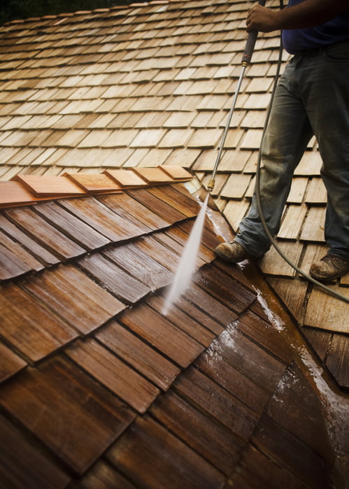 Signs You Need a Roof Cleaning Service